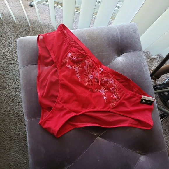 Enchanted | Intimates & Sleepwear | Enchanted Panties Size | Poshmark